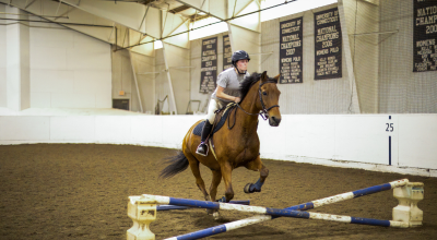 Horseback Riding | Department of Animal Science