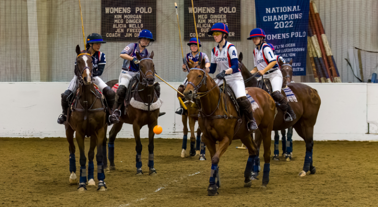 Horseback Riding | Department of Animal Science