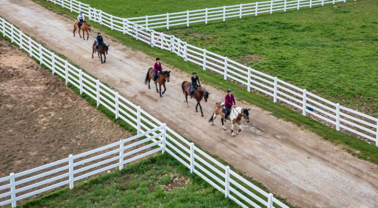 Horseback Riding | Department of Animal Science